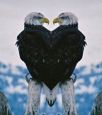 Eagle Valentine wishes!!! – Eagle Home Inspections Blog