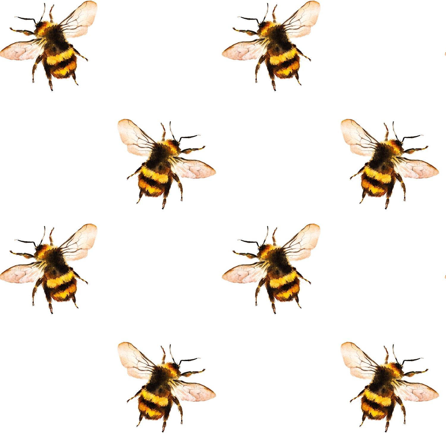 Life is Bee-utiful! – Eagle Home Inspections Blog